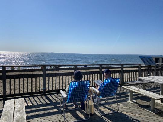 Campground Details - Hammonasset Beach State Park, CT - ReserveAmerica