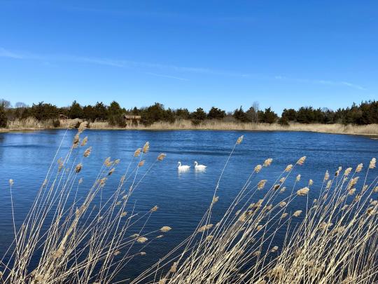 Campground Details - Hammonasset Beach State Park, CT - ReserveAmerica
