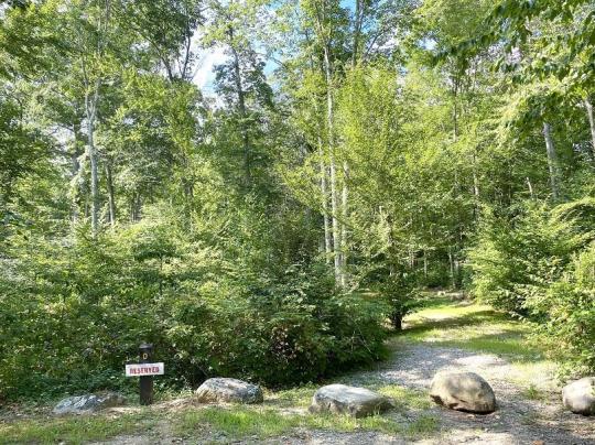 Campground Details - Green Falls Campground, CT - ReserveAmerica