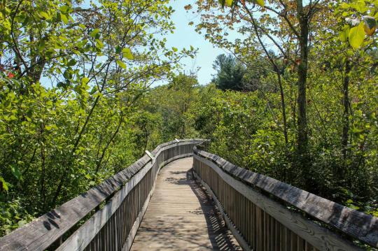 Campground Details - Hammonasset Beach State Park, CT - ReserveAmerica