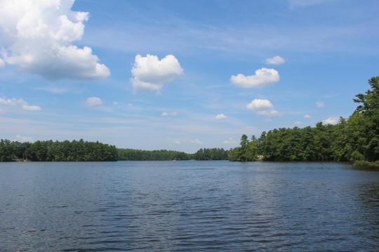 Campground Details - Quaddick Day Pass, CT - ReserveAmerica