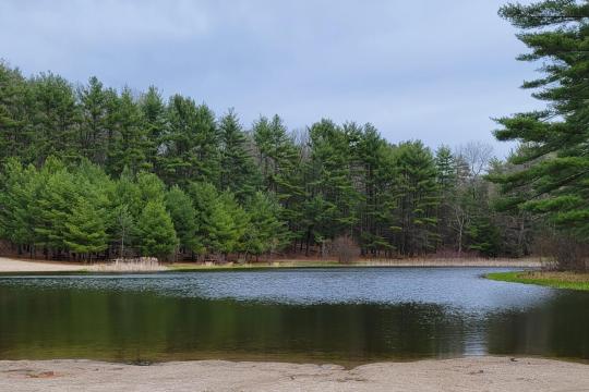 Campsite Details - Tracked Chair, Stratton Brook Wheelchair Permits, CT ...